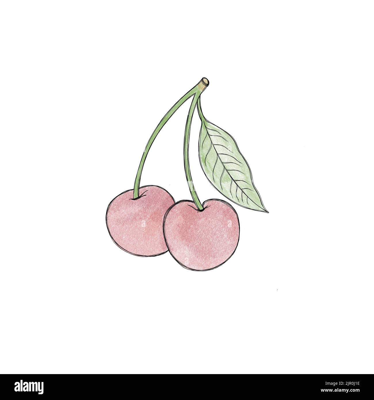 Juicy ripe cherries close-up watercolor drawing Stock Photo - Alamy