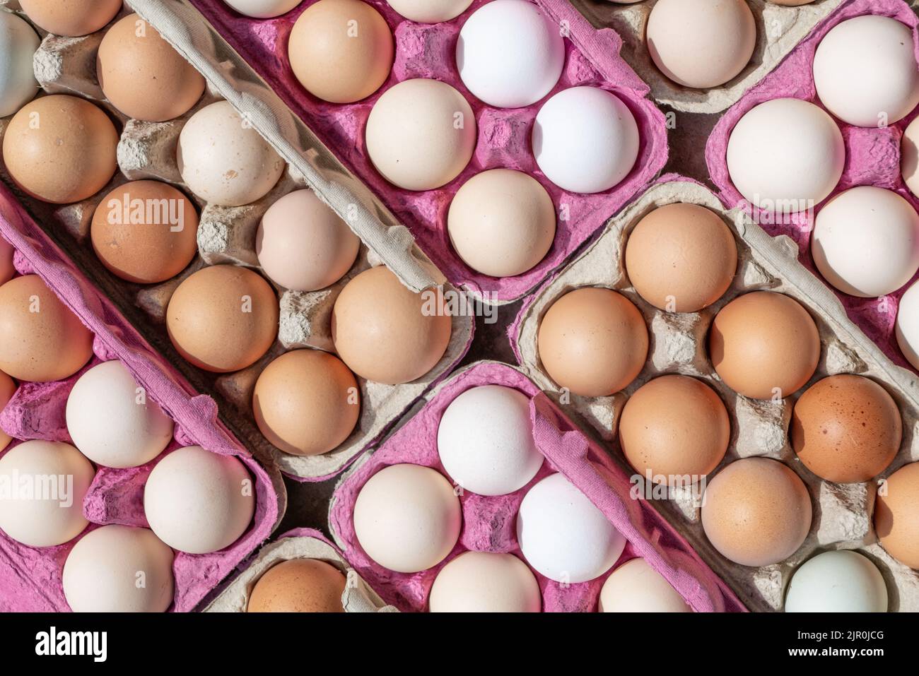 Open egg box with fresh organic colorful eggs in carton packs Stock ...