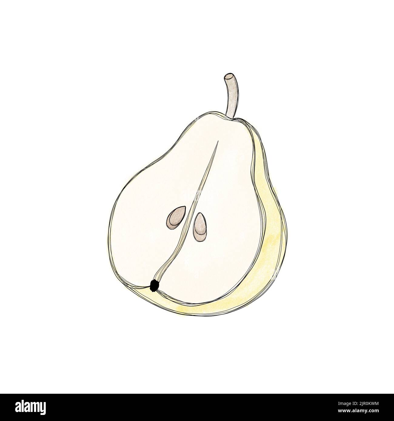 Delicious, juicy pear - watercolor drawing of the fruit. Summer fruit ...