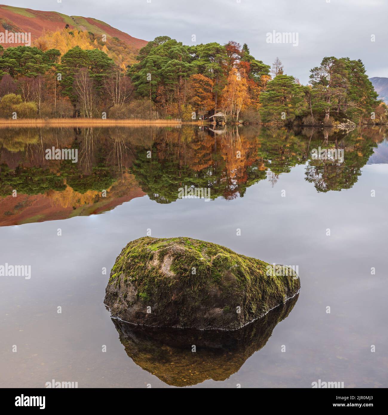 Stunning Autumn landscape sunrise image looking towards Catbells from ...