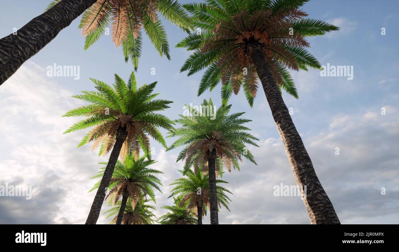 Alley of palm trees Nature landscape forest 3d rendering Stock Photo ...