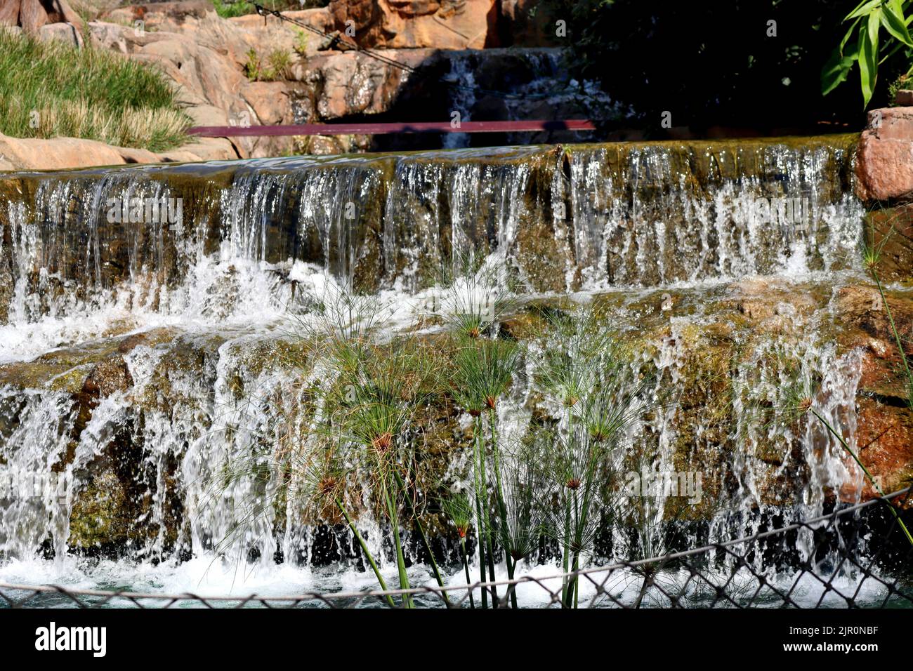 A scenic view of a waterfall flowing down the rocks covered with green ...