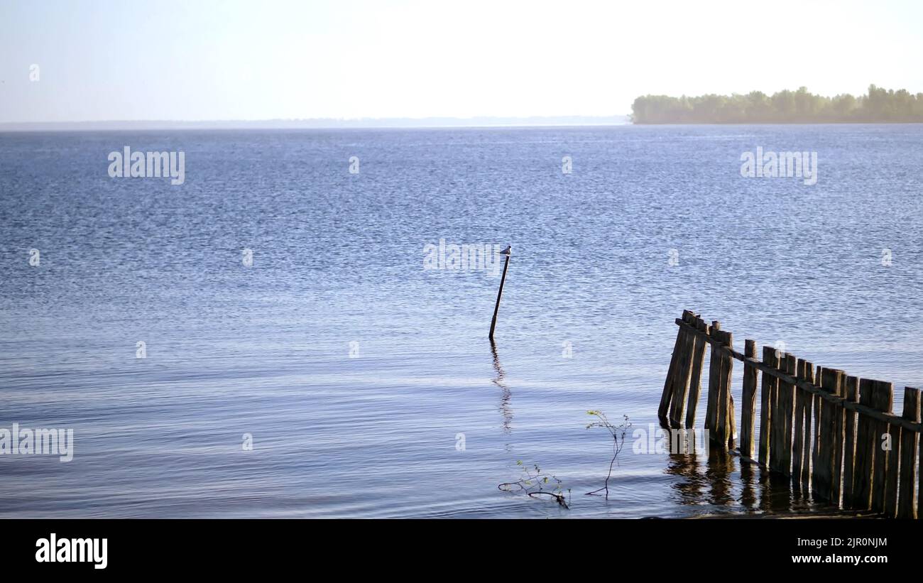 landscape, dawn over the water, river, current. summer morning. rest on ...