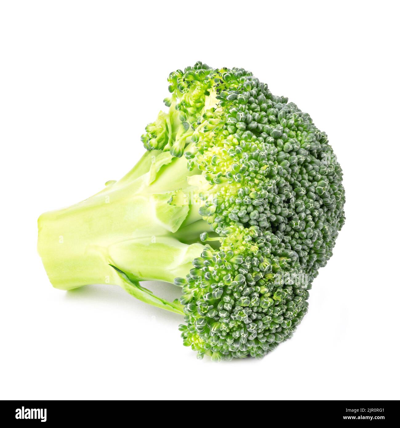 Fresh broccoli on white background. Creative food concept Stock Photo ...