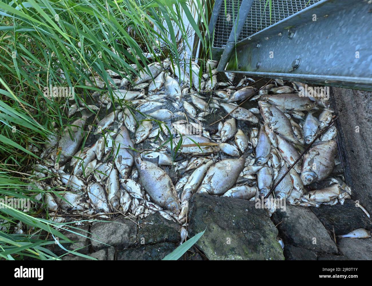 Patrick weir hi-res stock photography and images - Alamy