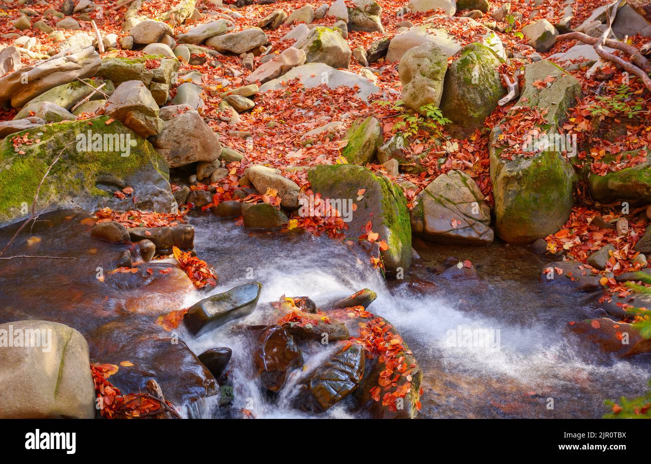 Foliage in water flow hi-res stock photography and images - Alamy