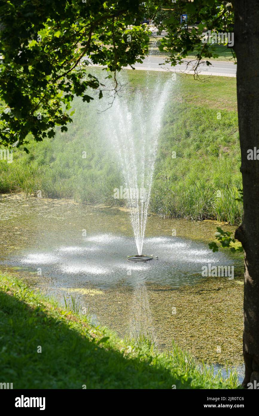 Water fountain spraying water,beautiful garden and park decorations ...