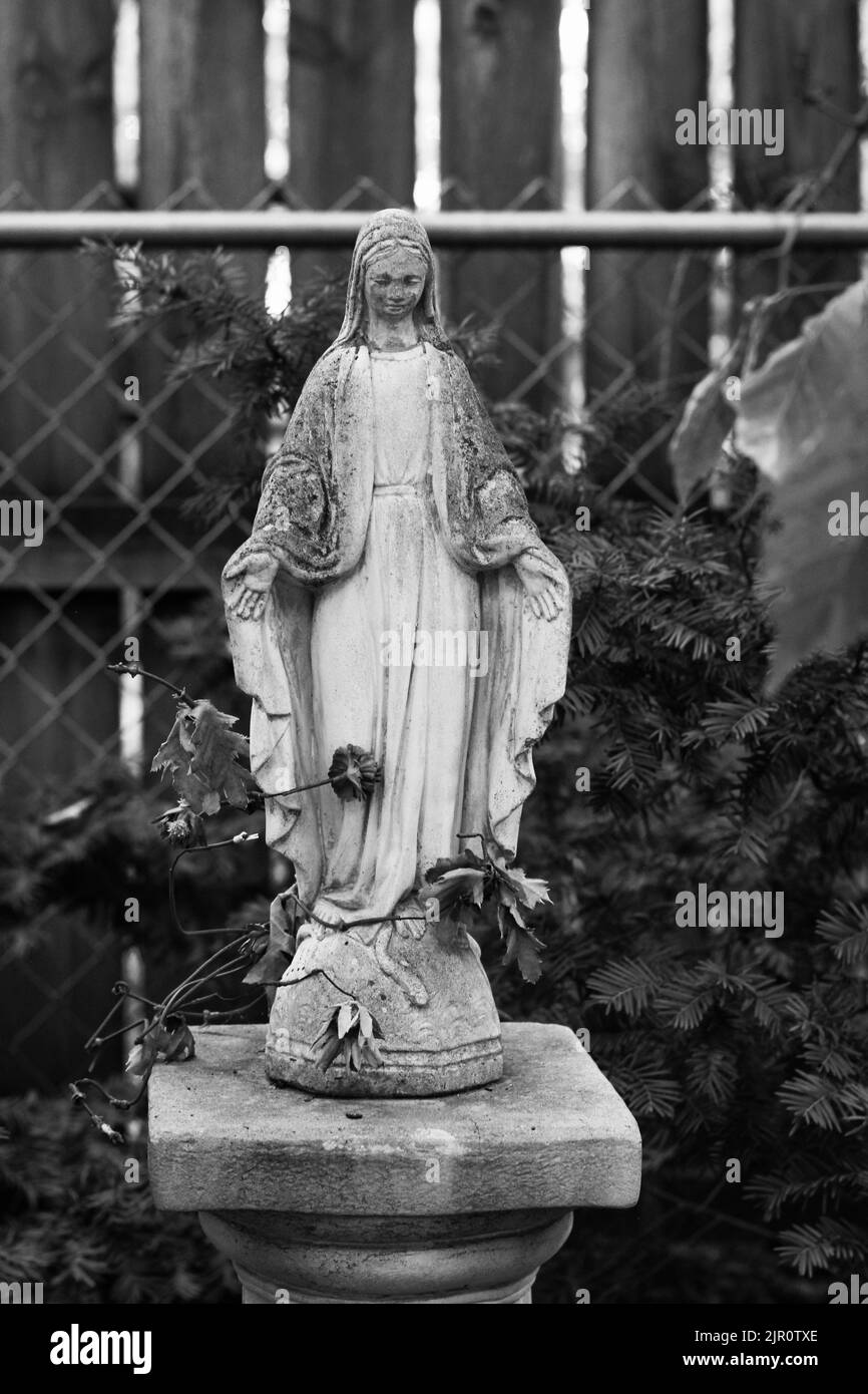 A statue of the Virgin Mary standing in a summer garden in black and ...