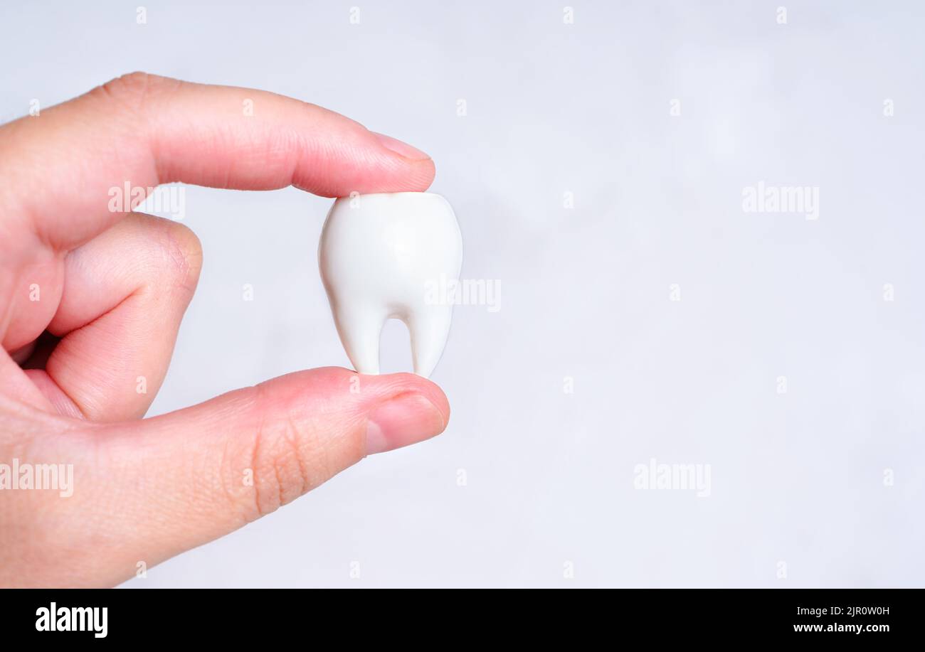 Hand pinch-holding a large white tooth isolated on a neutral background ...