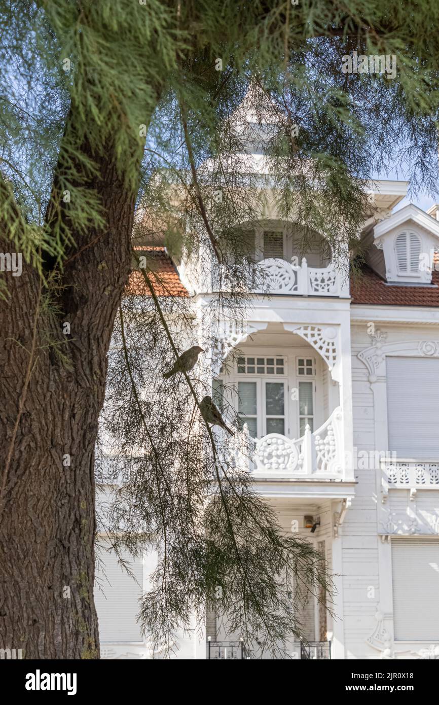 Istanbul wooden white mansion (yali) by the Bosphorus in Sariyer, a ...