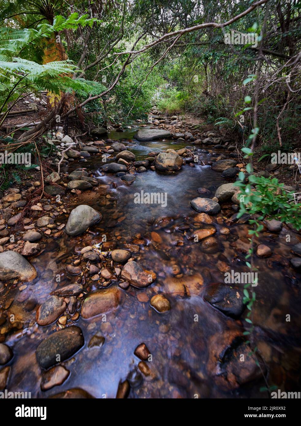 A vertical shot of a river flowing through rocks in a forest Stock ...