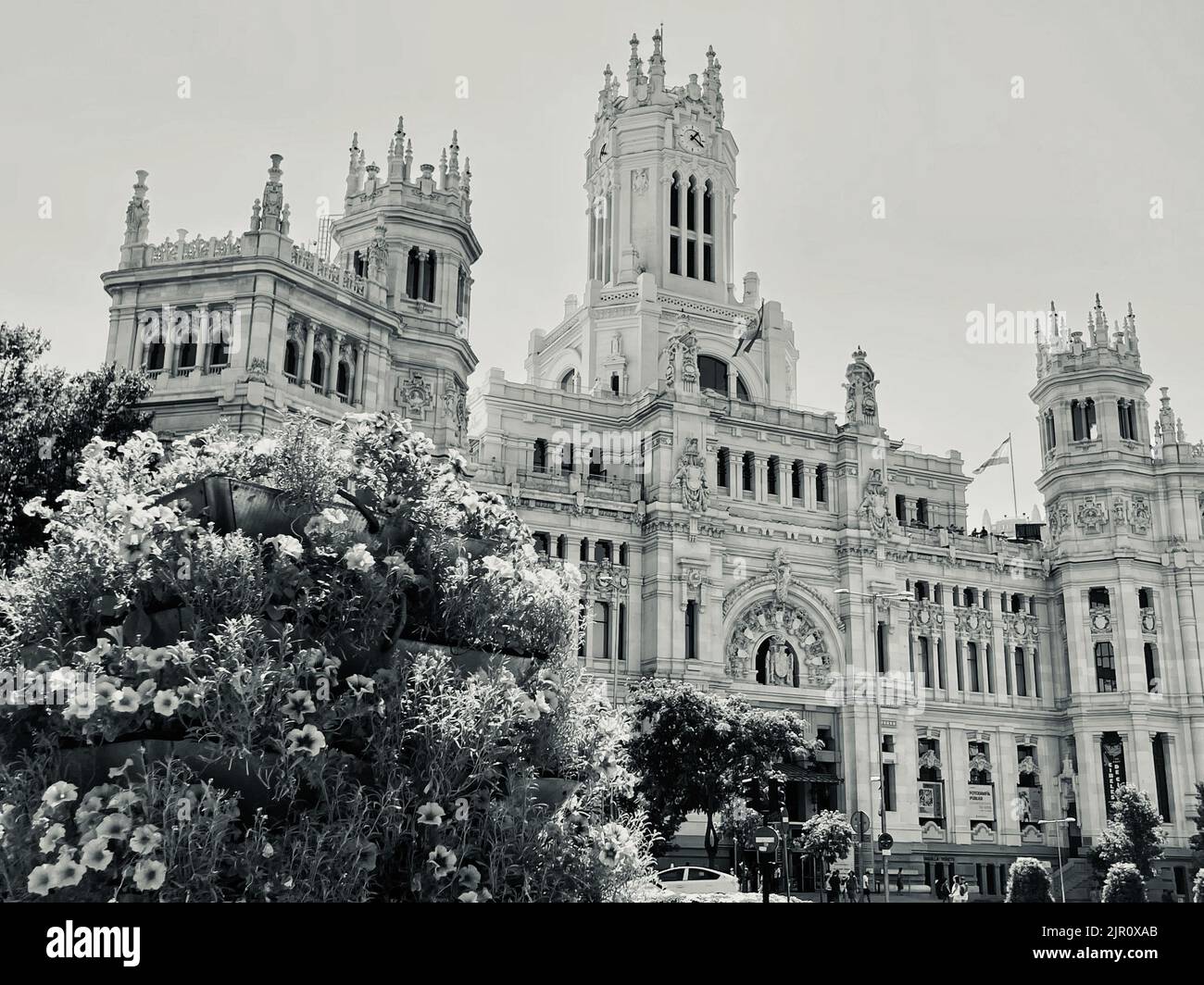 A grayscale shot of the Cibeles Palace near flower bushes, Madrid ...