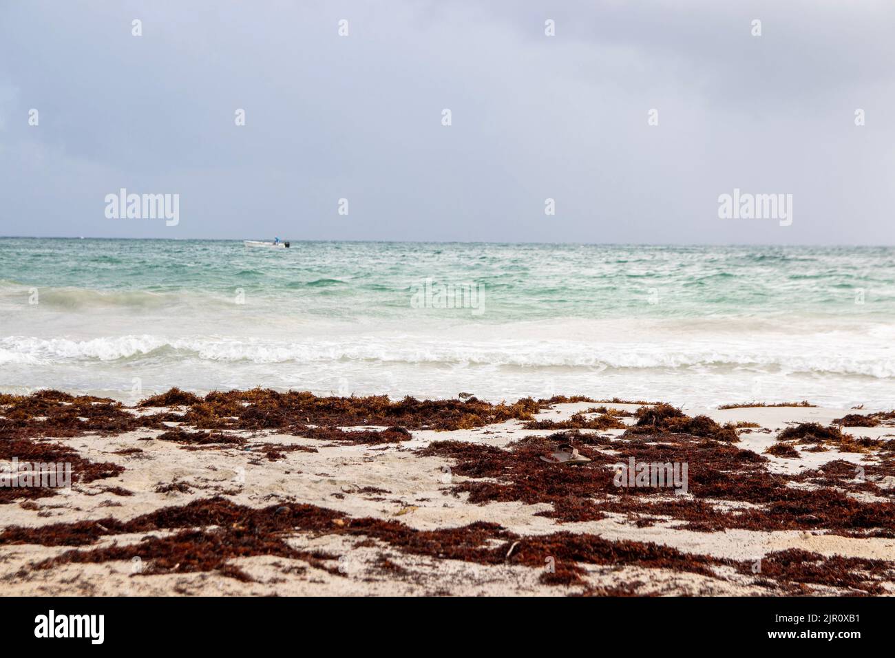 Beautiful scenery of a sandy beach with calm seawater and small waves ...