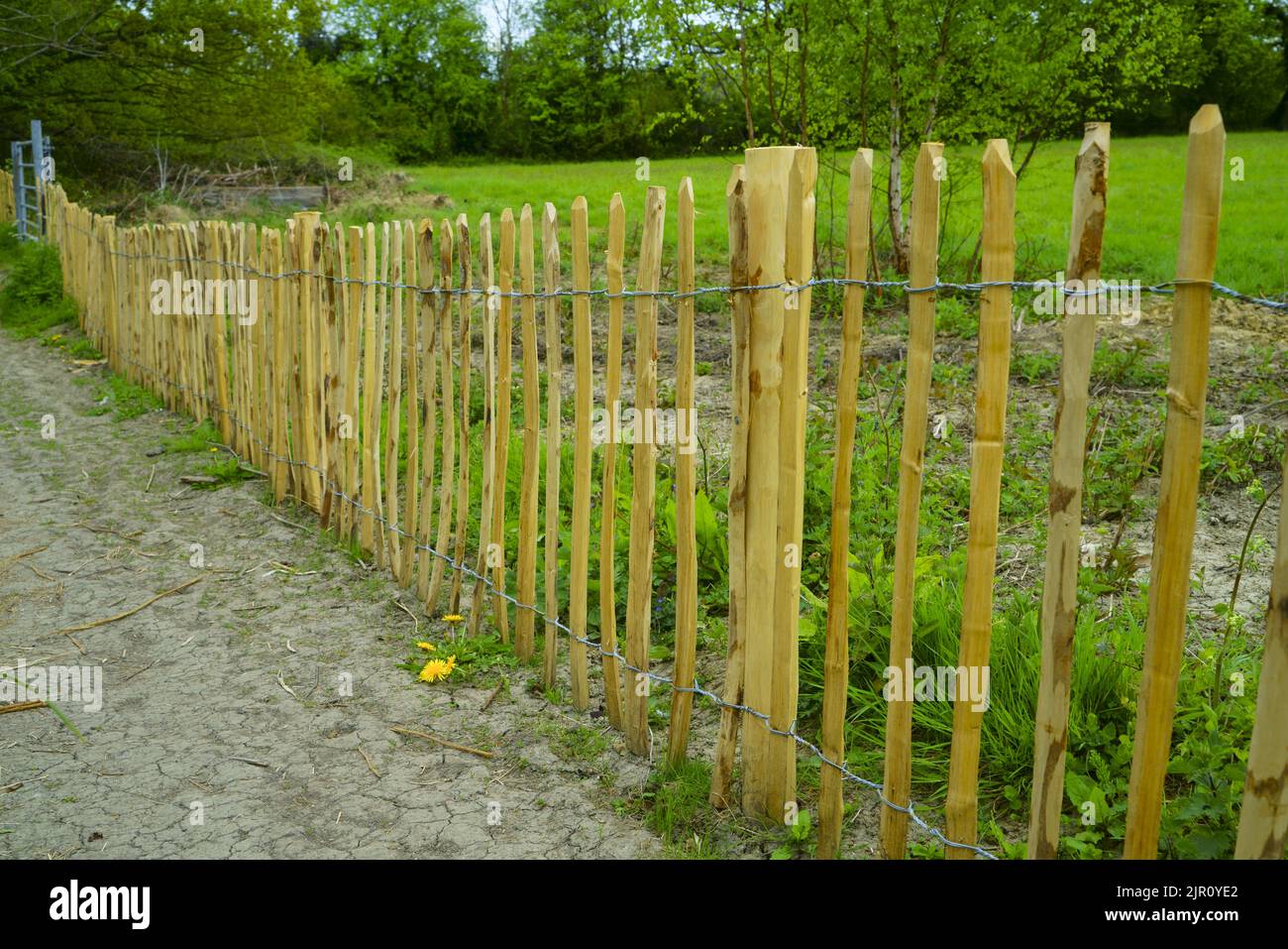 A new Chestnut paling fence Stock Photo - Alamy
