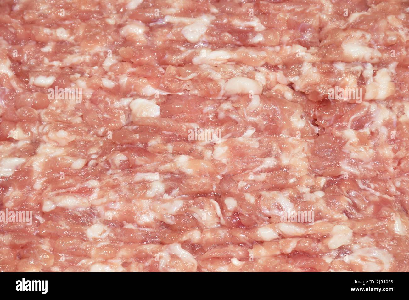 raw mashed pork ingredient food on plastic tray in white background ...