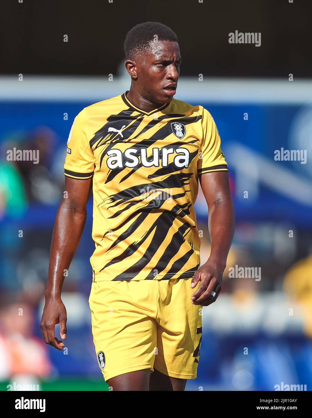 Rotherham United's Wes Harding during the Sky Bet Championship match at ...