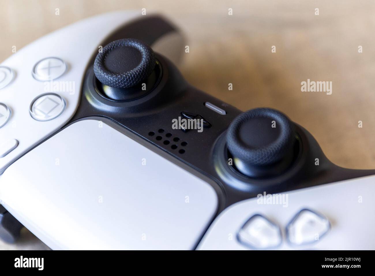 BRECHT, BELGIUM – AUGUST 14 2022: Close up portrait of the sticks of a ...