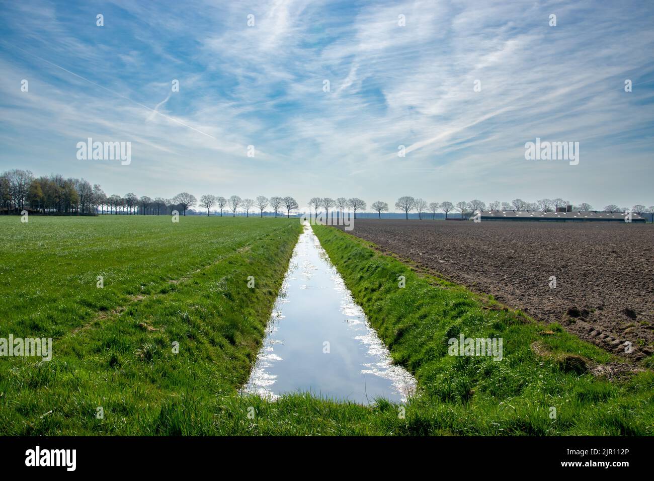 An agricultuaral land during the watering process with ligth clouds in ...