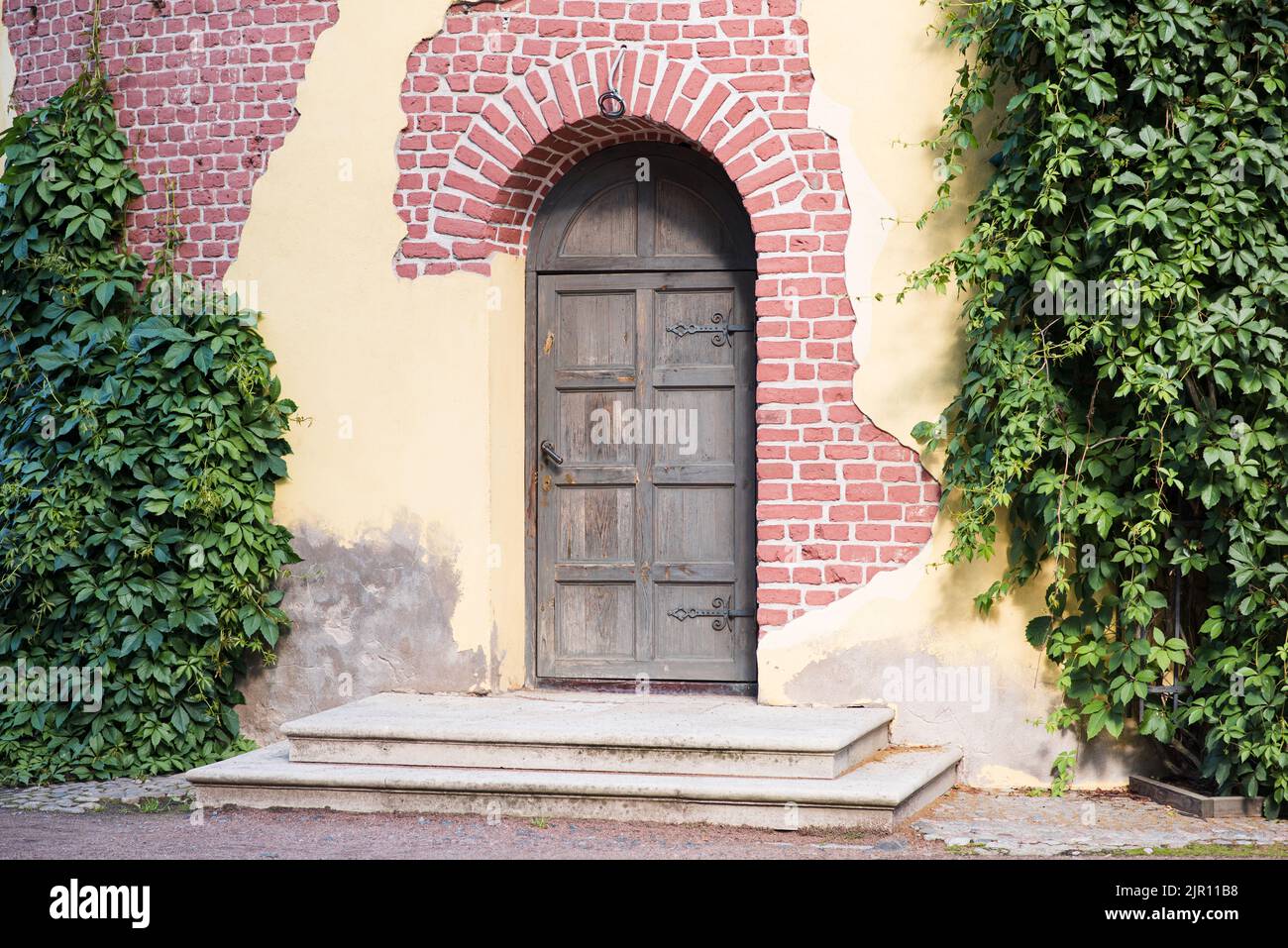 An ancient wooden door with steps with ivy of an abandoned tower or ...