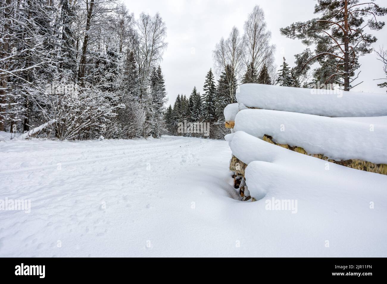 Snow covered forest road with pile of timber on side Stock Photo - Alamy