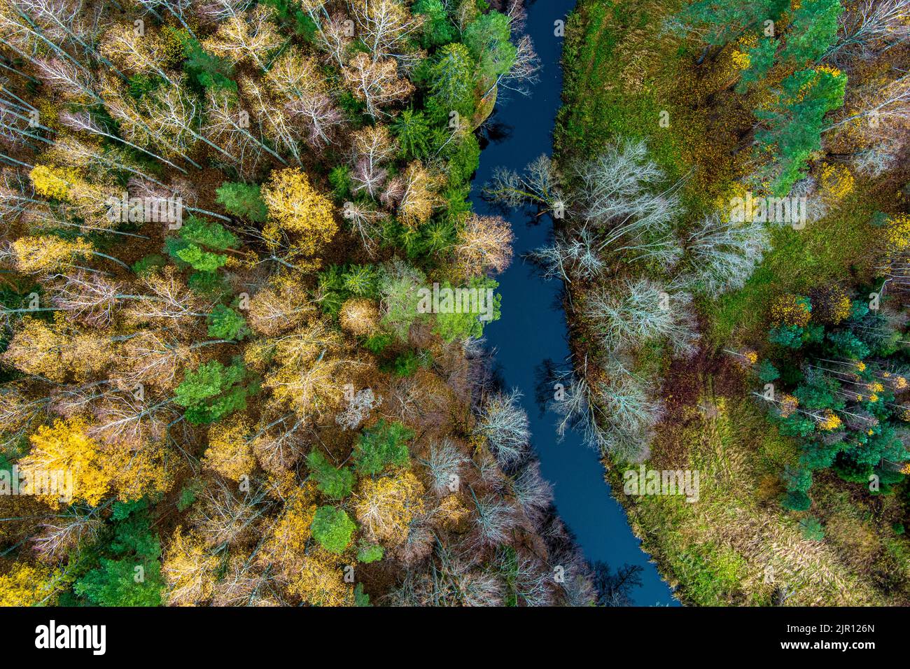 Calm forest river Aerial top down view from drone, late autumn with little foliage on trees ...