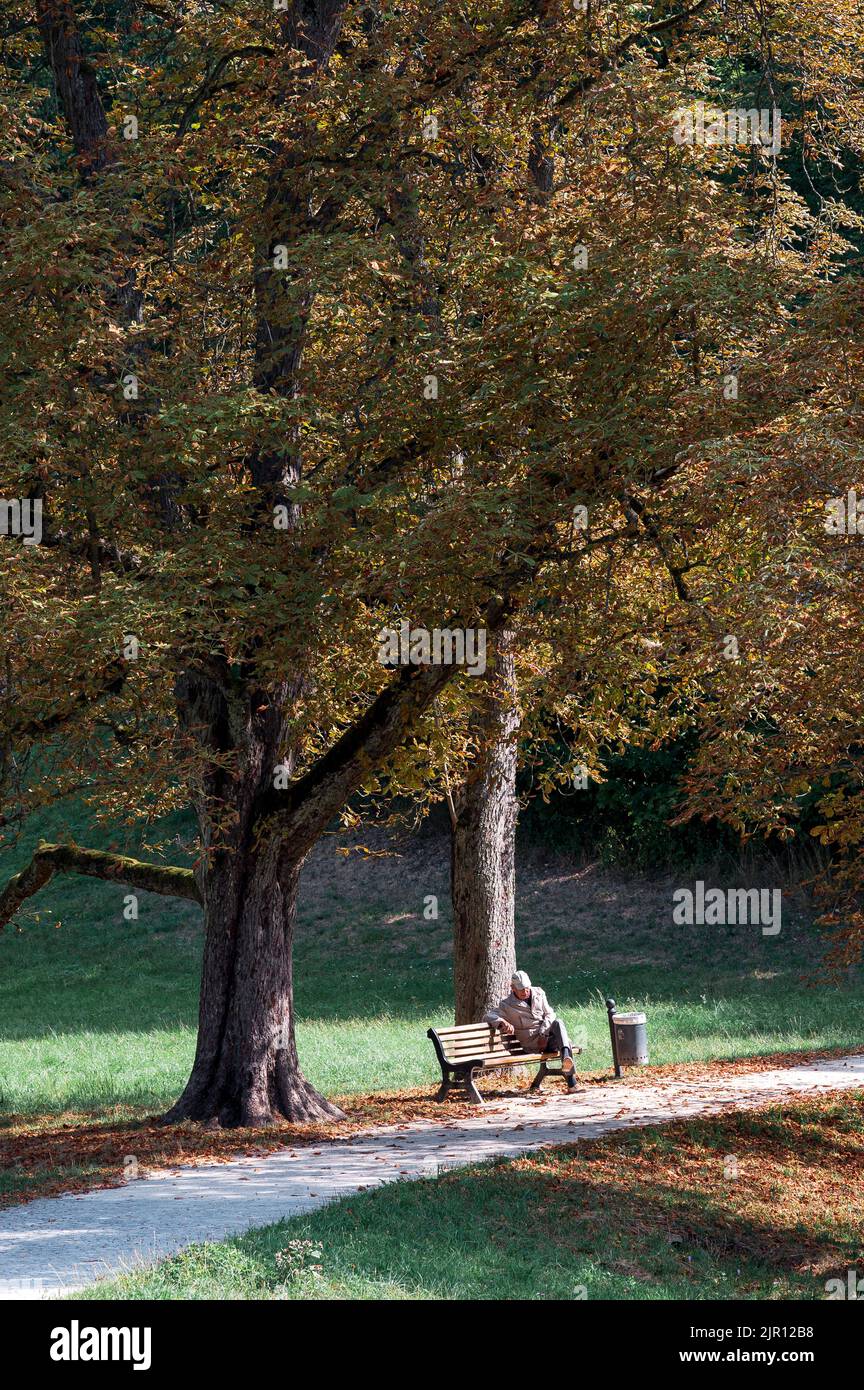 Coburg, Germany. 21st Aug, 2022. A person sits on a bench under ...