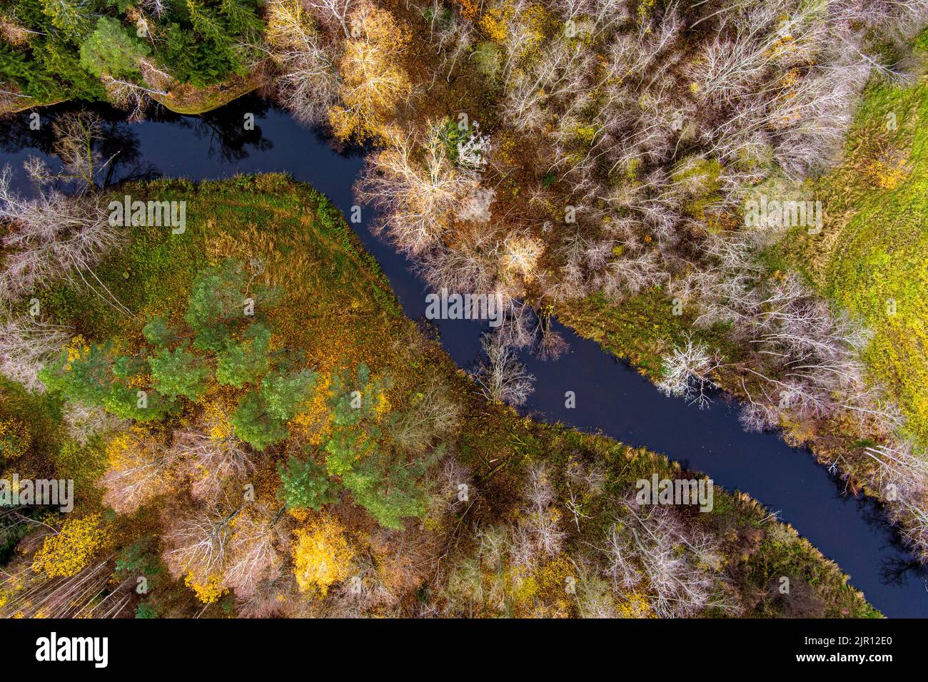 Top down drone aerial view of autumn leaves hi-res stock photography ...
