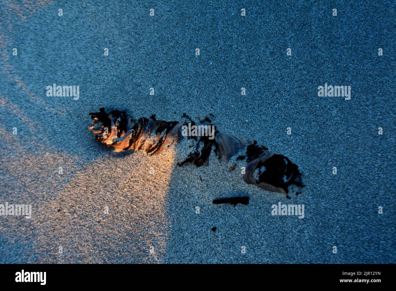 Burned colth hi-res stock photography and images - Alamy