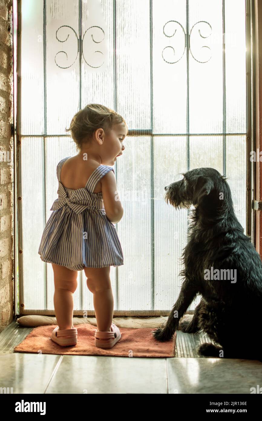 Cute baby wearing a blue dress talking with her little dog. Baby and ...