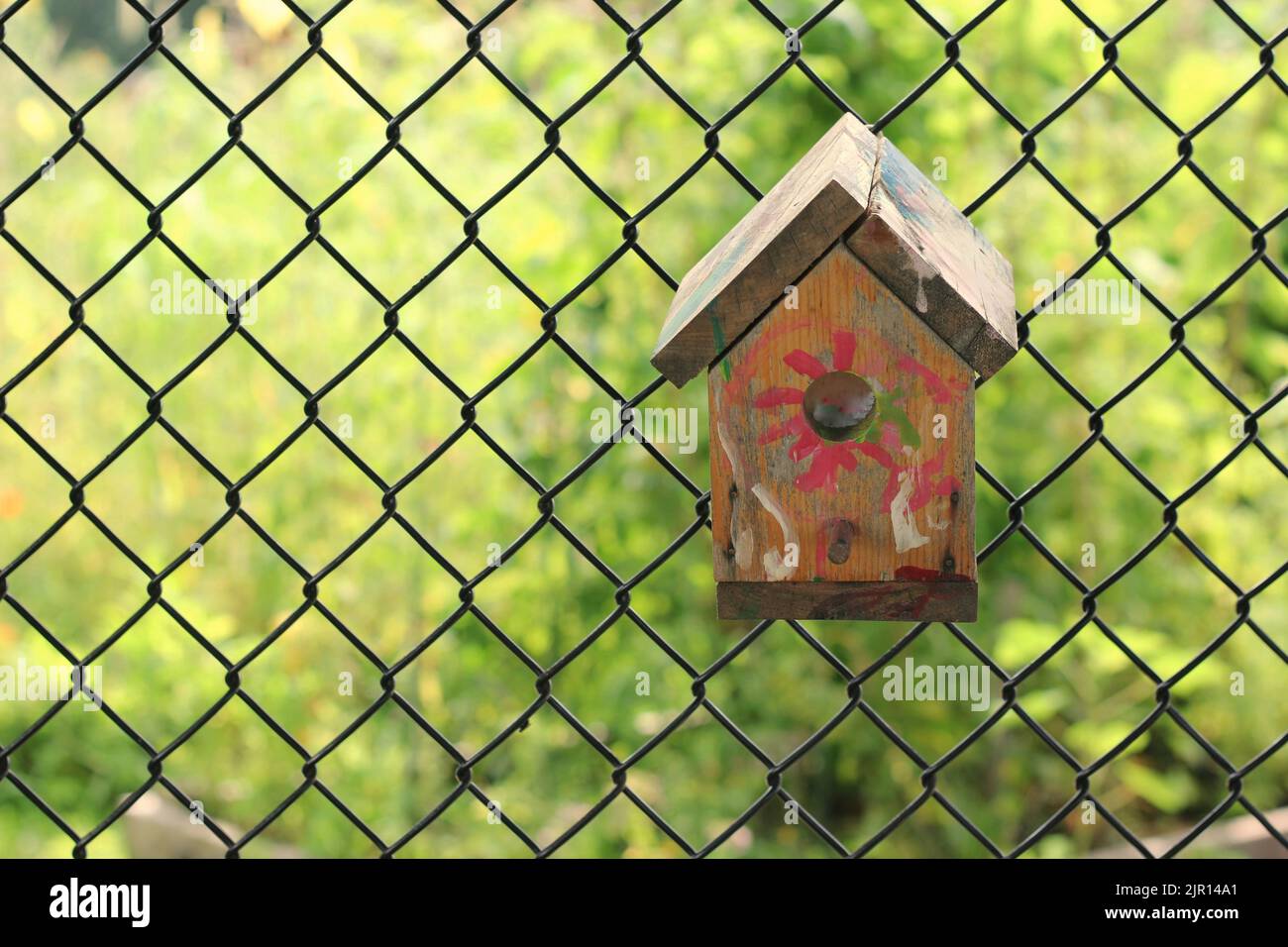 Typical common wooden birdhouse hanging on a chain link fence in the ...