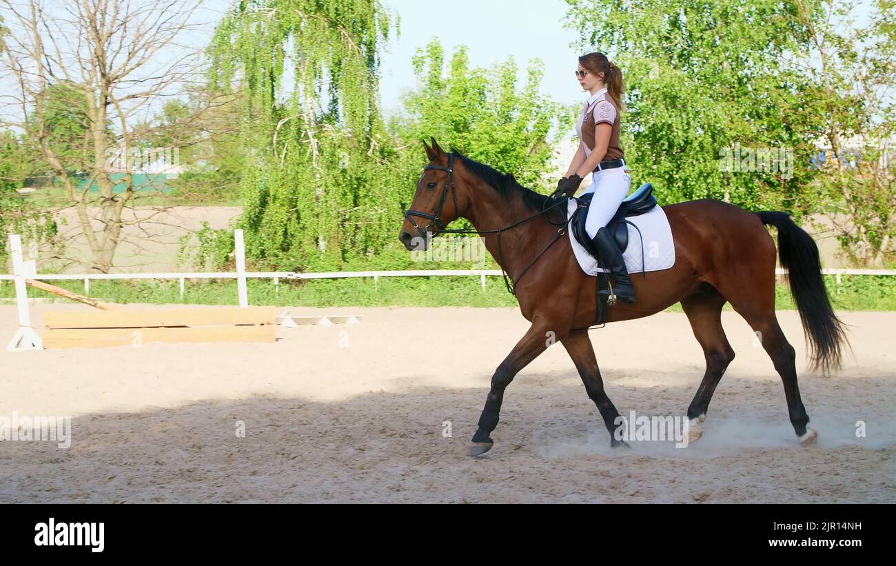 summer, outdoors, girl rider, jockey riding on a thoroughbred beautiful ...