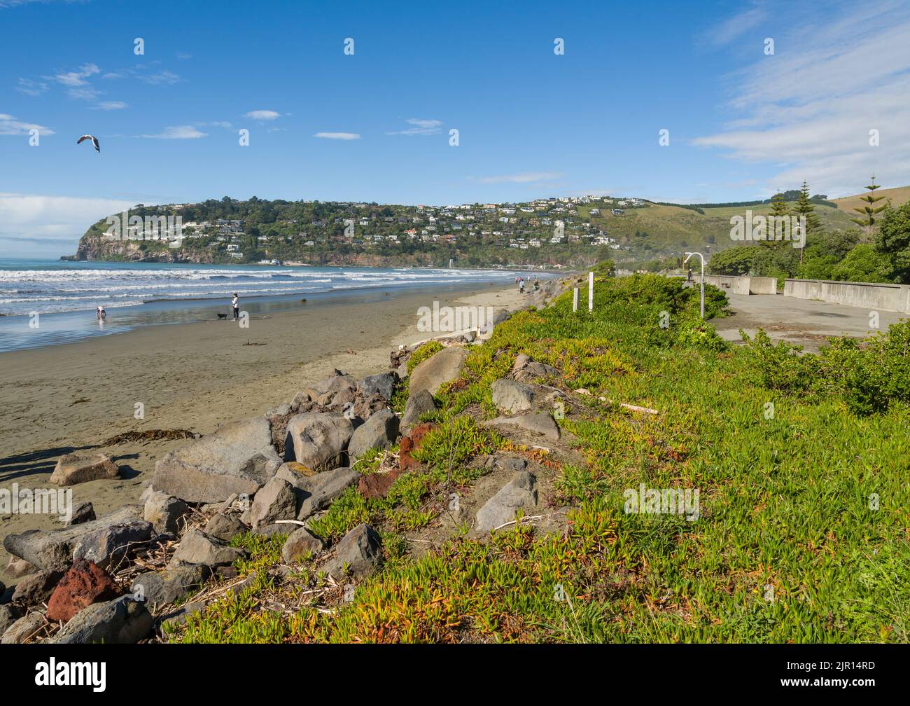 Winter at Sumner beach Christchurch New Zealand Stock Photo - Alamy