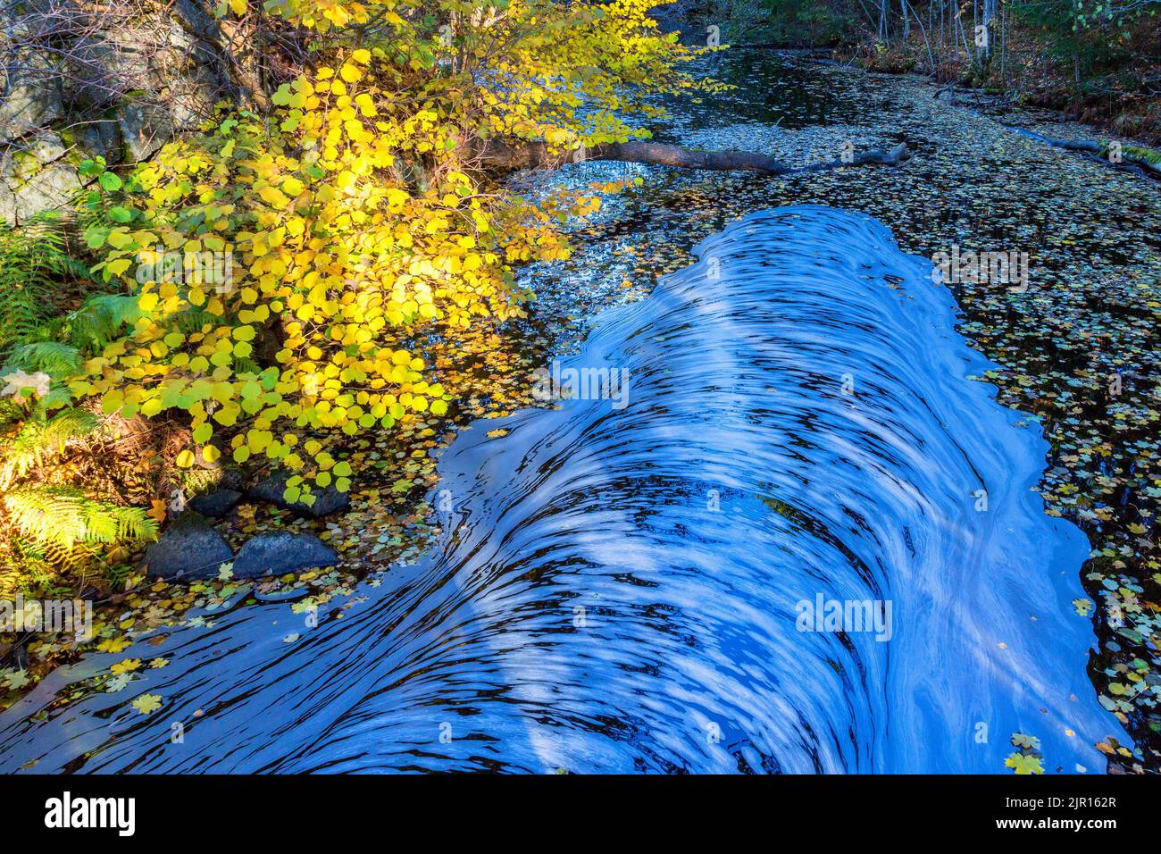Foam forming patterns in the river Stock Photo - Alamy