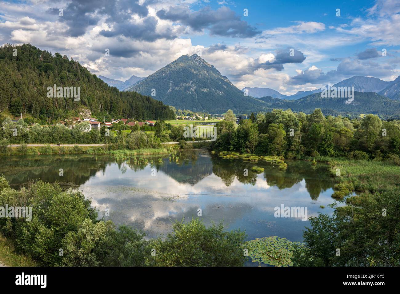 Rewilded river hi-res stock photography and images - Alamy