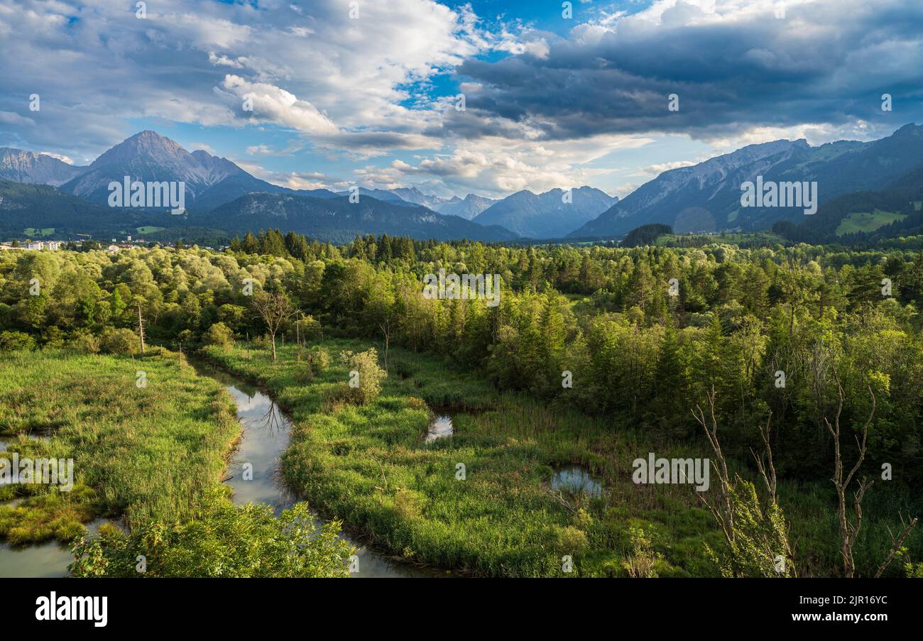 Rewilded river hi-res stock photography and images - Alamy