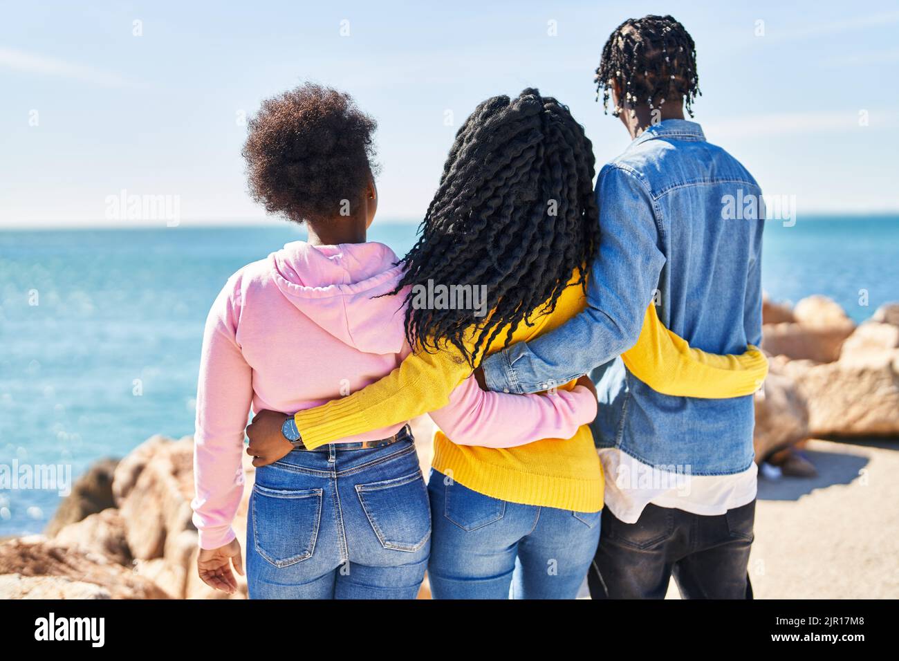 African american friends hugging each other on back view at seaside ...