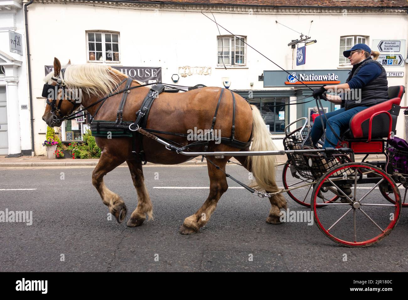 Fordingbridge, Hampshire, UK, 21st August 2022. British Heavy Horse ...