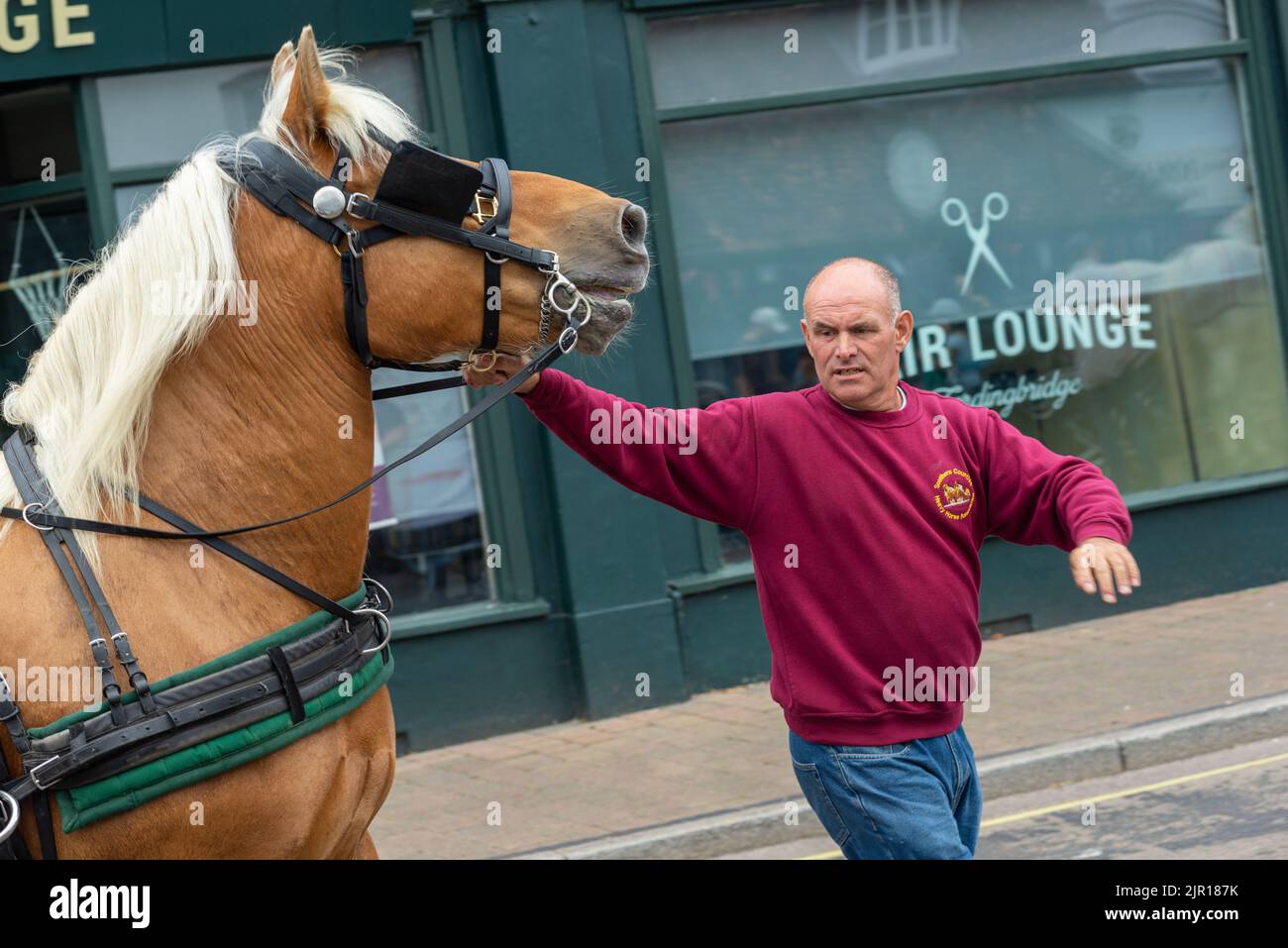 Fordingbridge, Hampshire, UK, 21st August 2022. British Heavy Horse ...