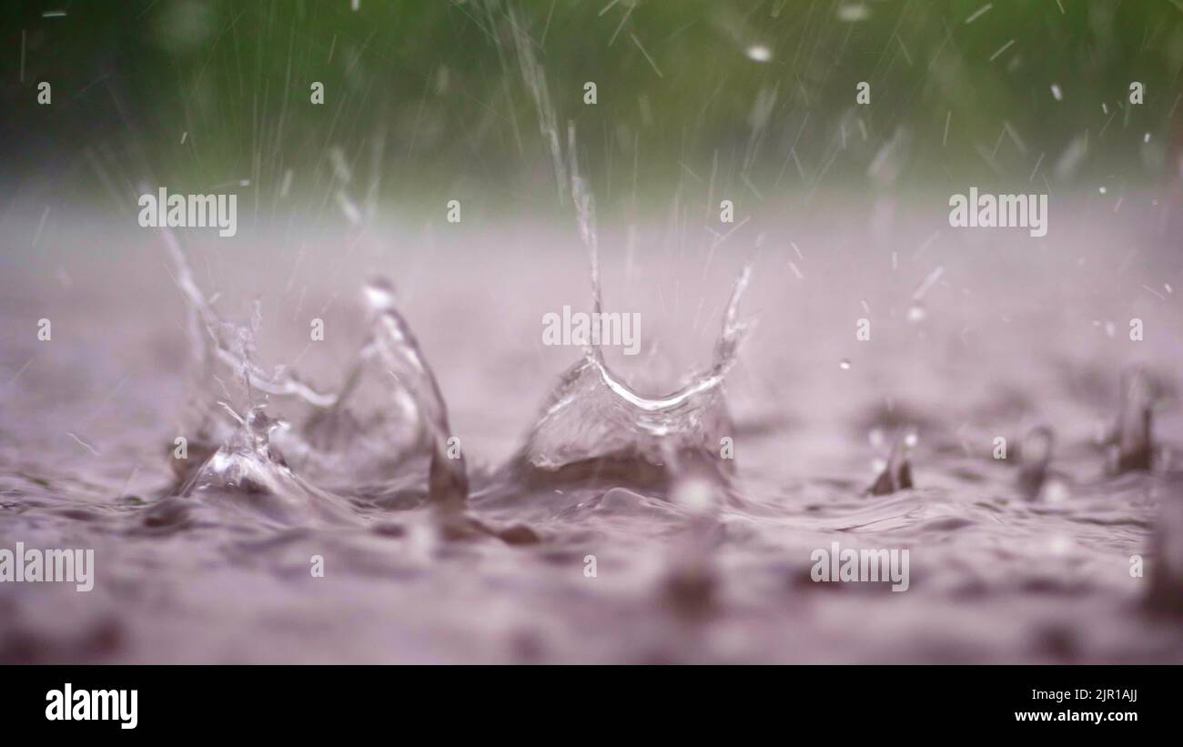 close-up, large, heavy drops of rain, rainfall, shower, fall with a ...