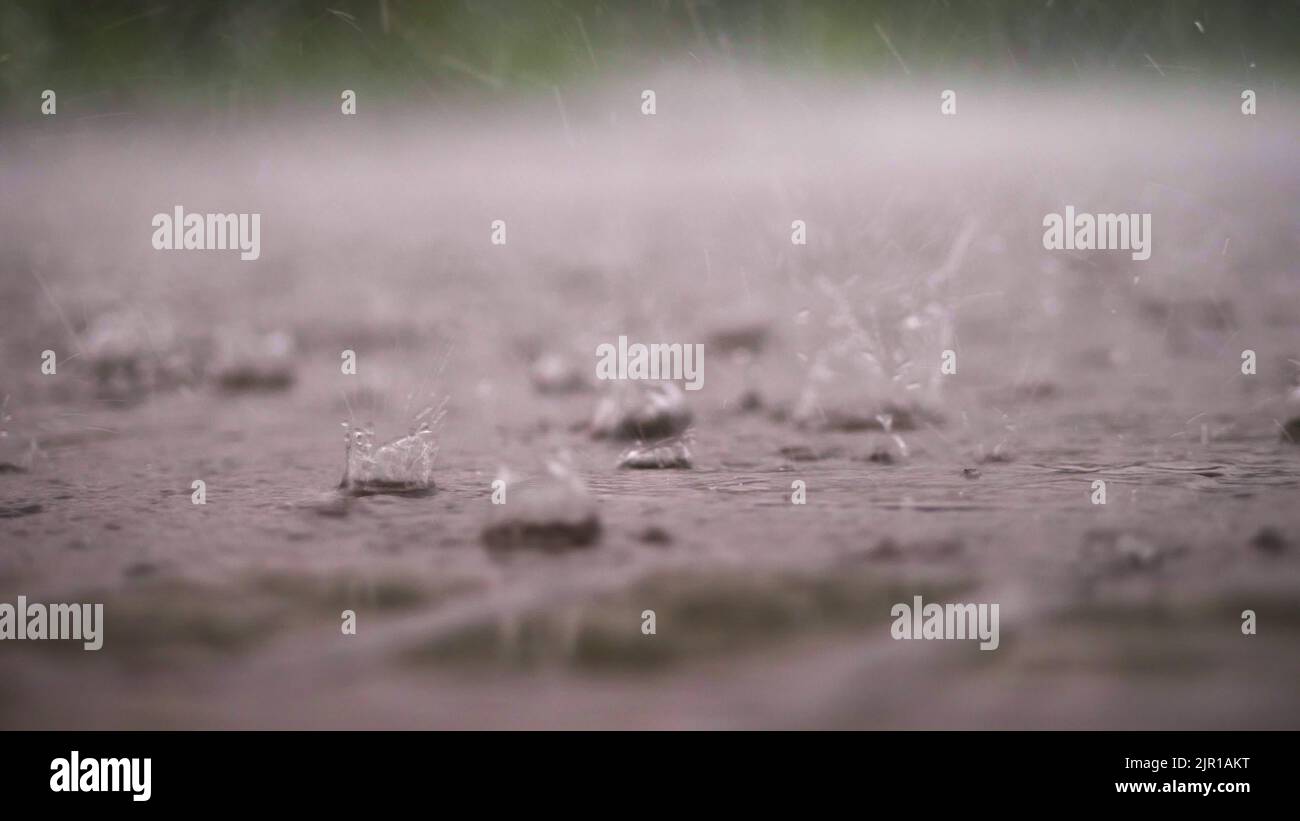 close-up, large, heavy drops of rain, rainfall, shower, fall with a ...