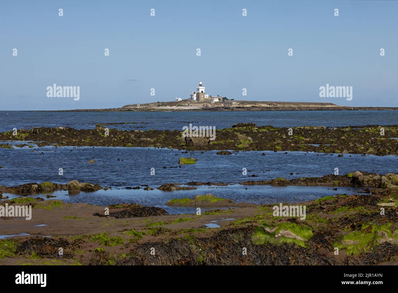 Coquet island, hi-res stock photography and images - Alamy