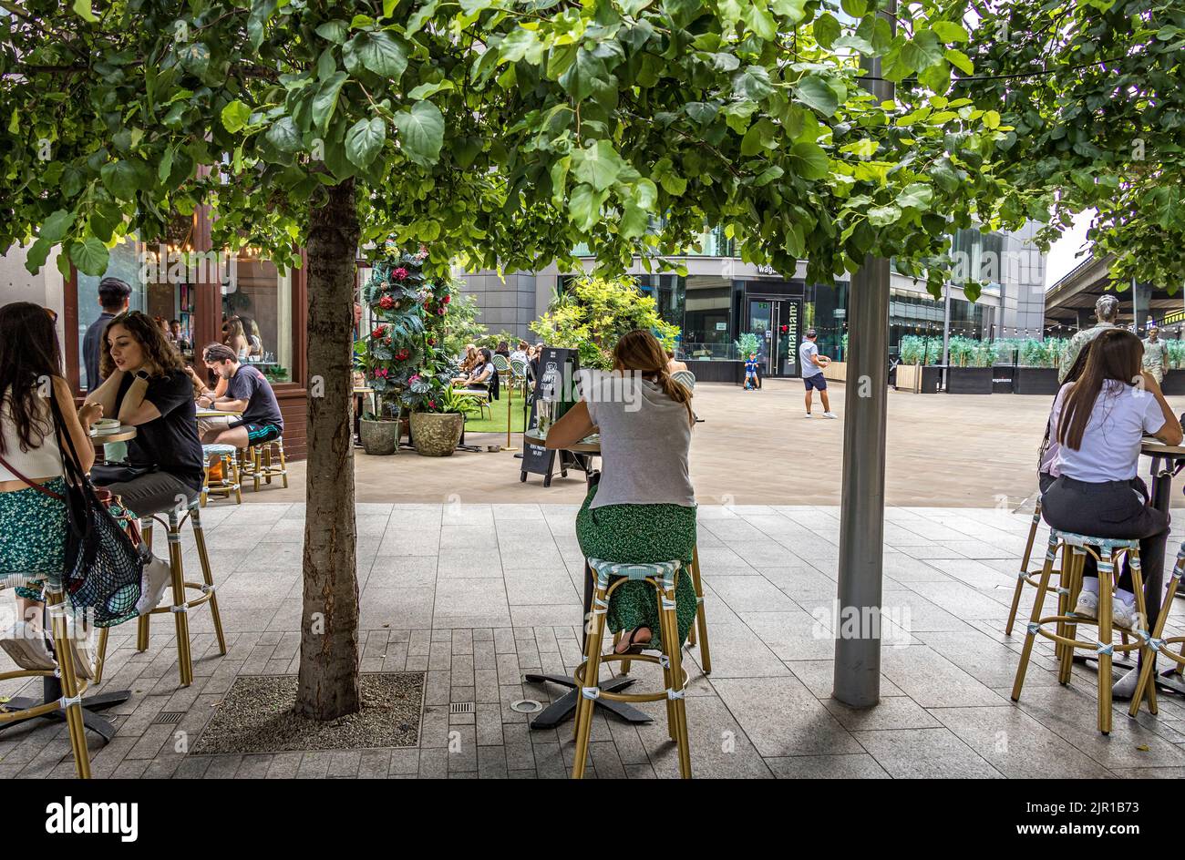 A woman sitting alone on a stool between two trees reading , Paddington ...