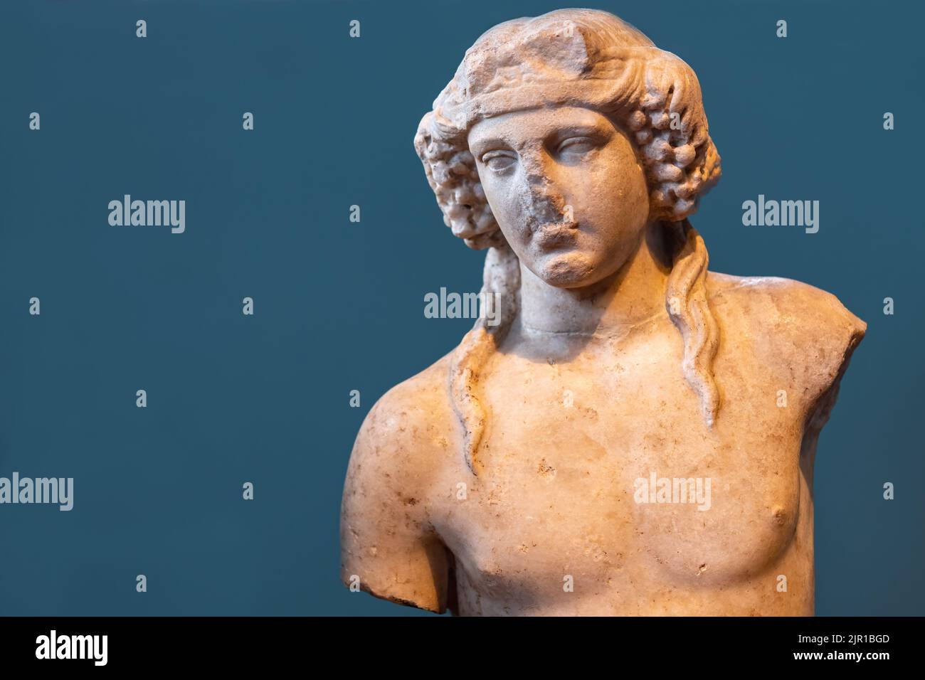 Seen royal ontario museum hi-res stock photography and images - Alamy