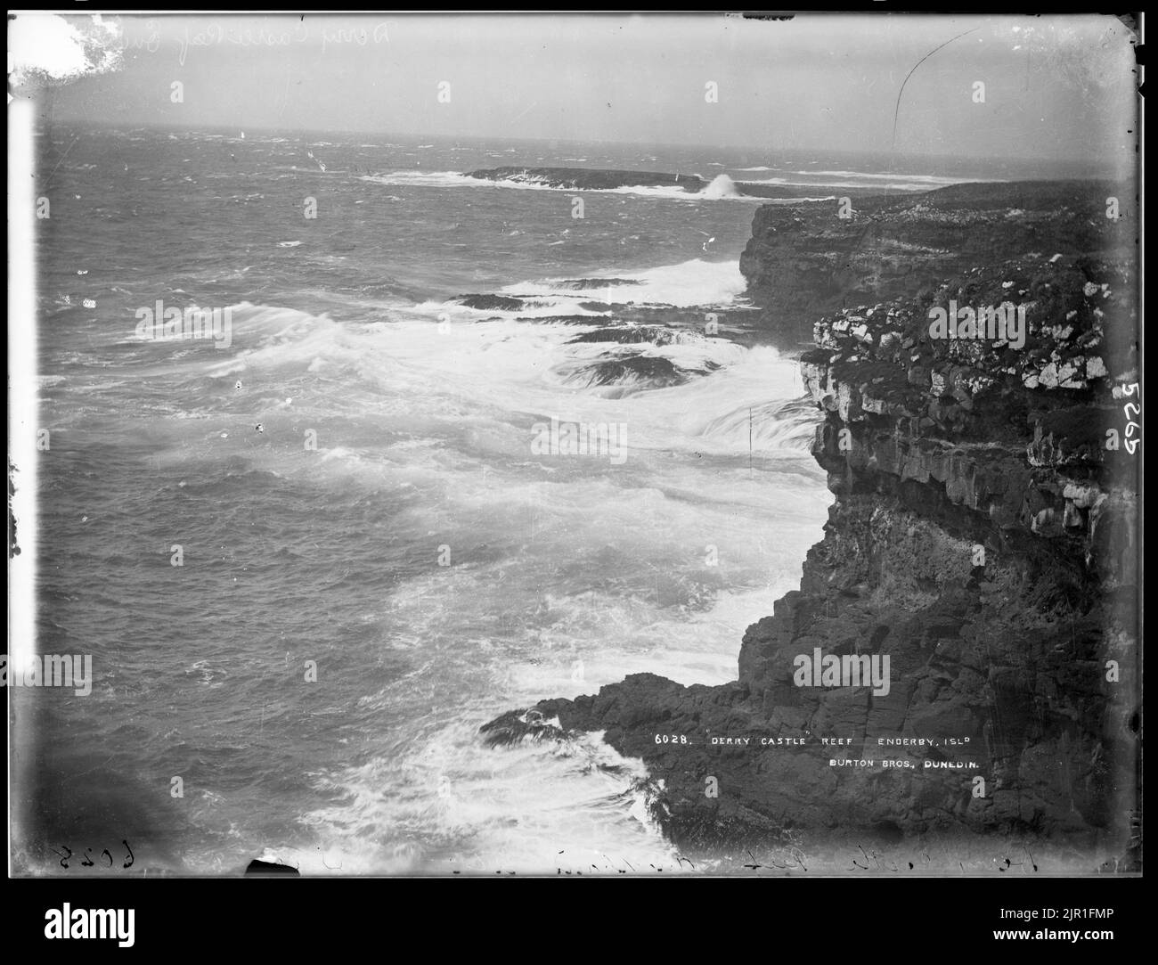 "Derry Castle" Reef, Enderby Island, circa 1888, Auckland Islands, by ...
