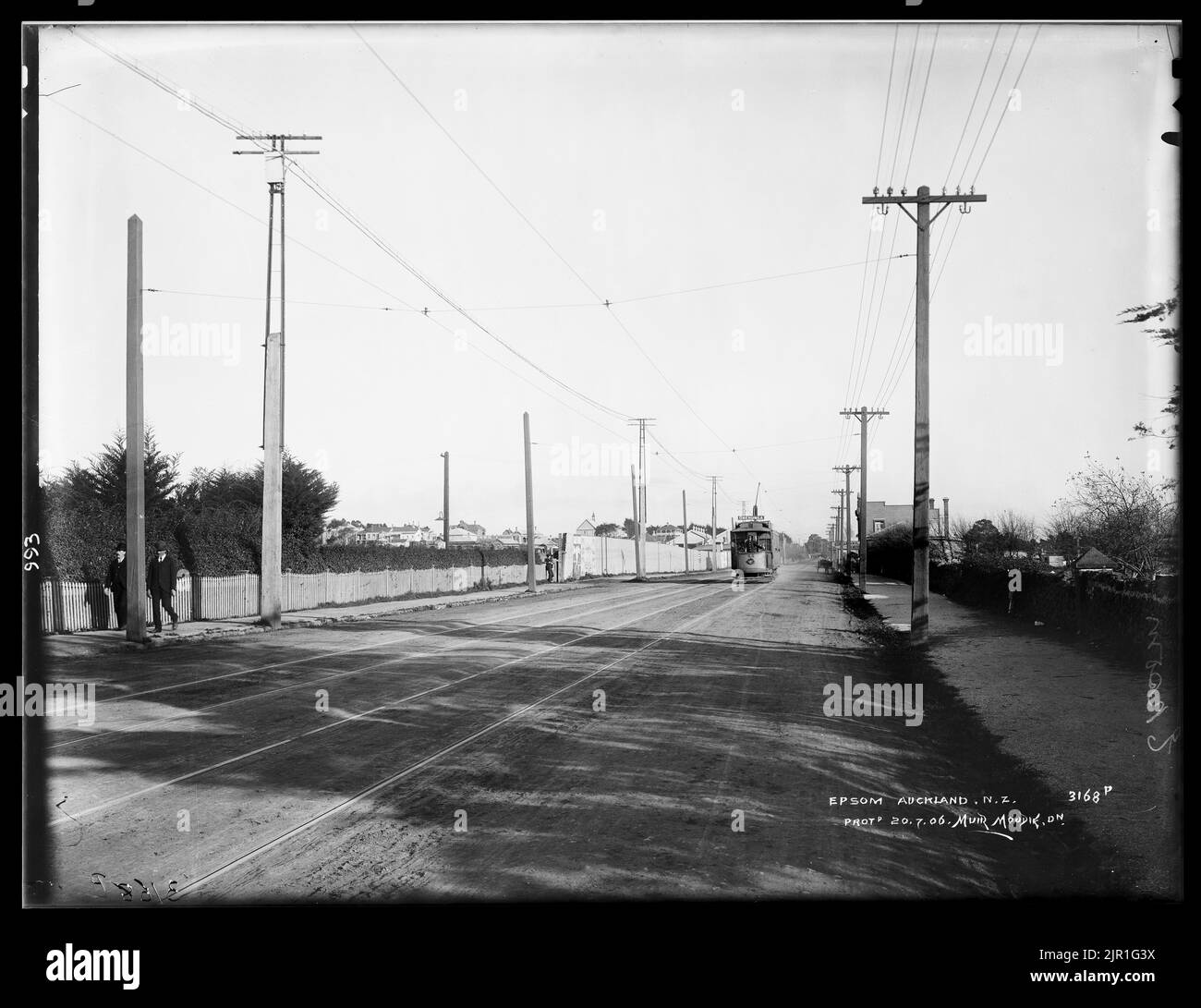 Epsom, Auckland NZ, circa 1906, Dunedin, by Muir & Moodie Stock Photo ...