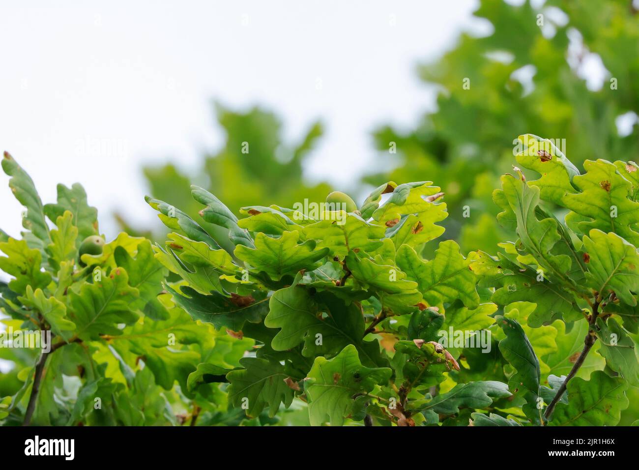 Signs of autumn hi-res stock photography and images - Alamy
