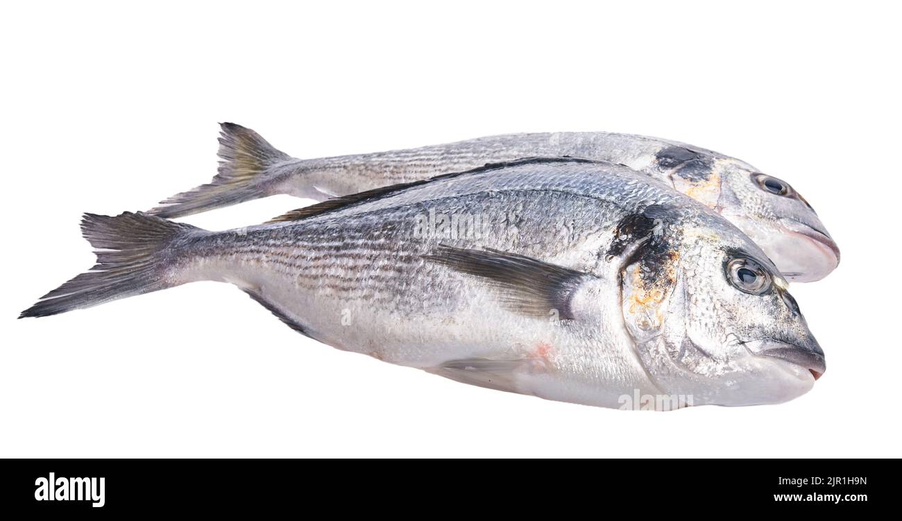 Two uncooked fishes over white isolated background Stock Photo - Alamy