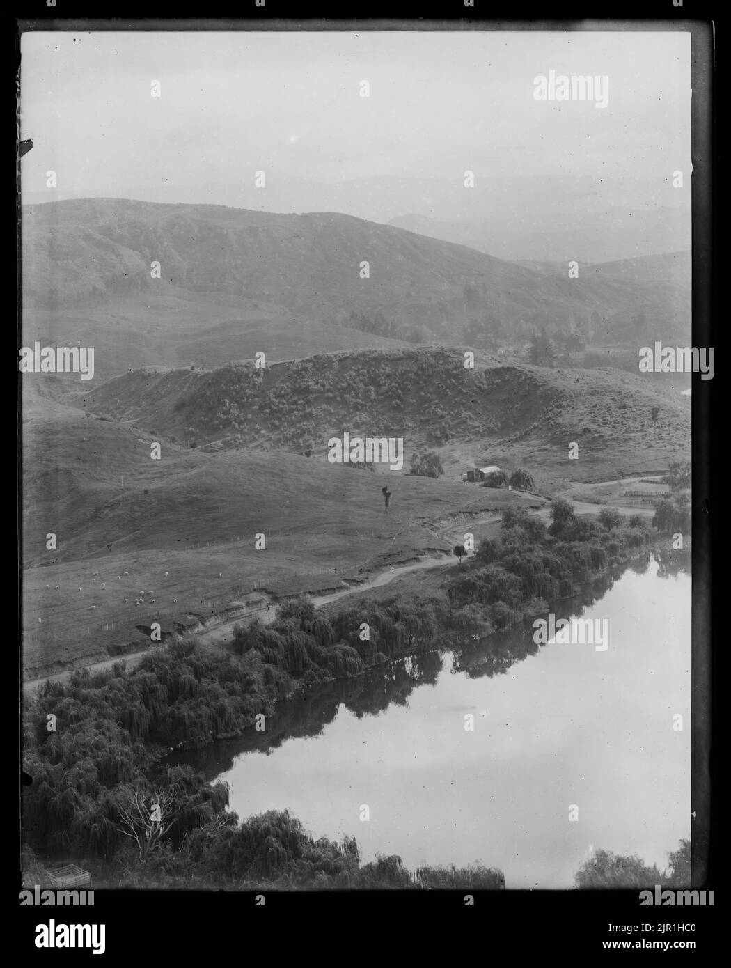 Tutira, circa 1930, Hawke's Bay, by Herbert Guthrie-Smith Stock Photo ...
