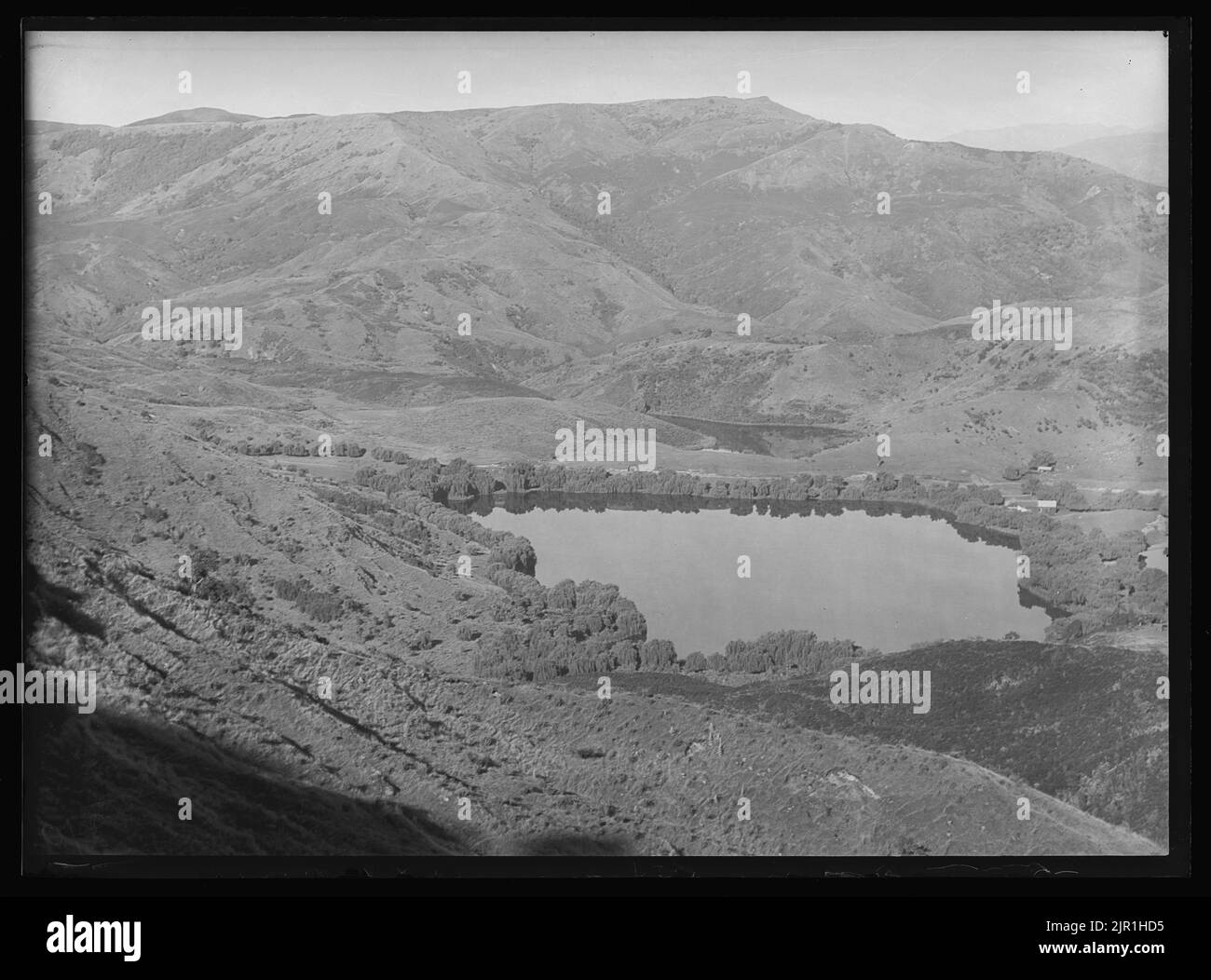 Tutira, circa 1930, Hawke's Bay, by Herbert Guthrie-Smith Stock Photo ...