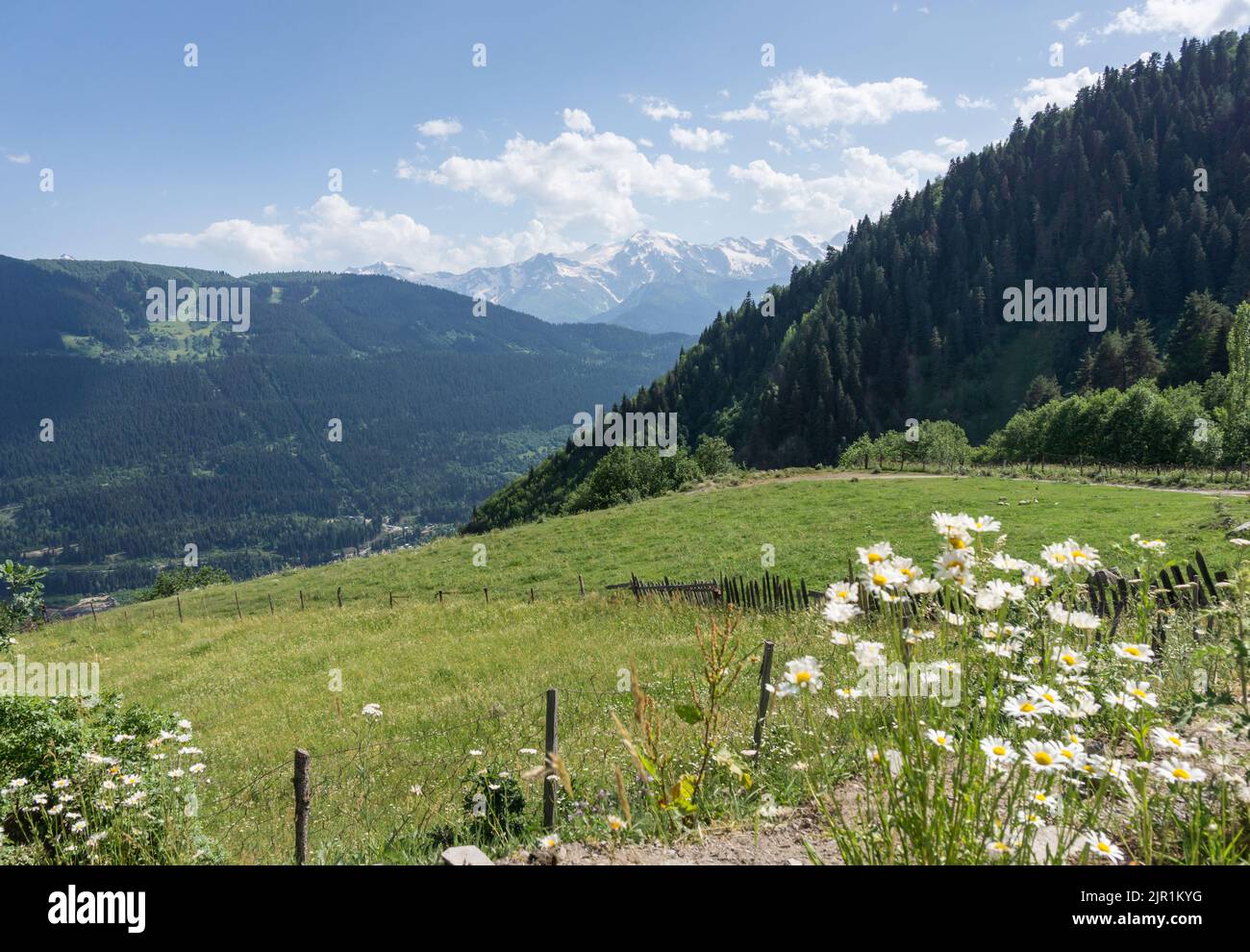 Upper Svaneti region, Georgia. Beautiful Svaneti landscape with flowers ...